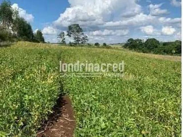 Sítio 2,5 alqueires em Jataizinho, área 100&amp amp #37  aproveitável para plantação, sem benfeitori