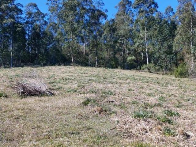 Sitio 2,5 Hectares em Santo Antônio da Patrulha/RS localizado na Catanduva Grande