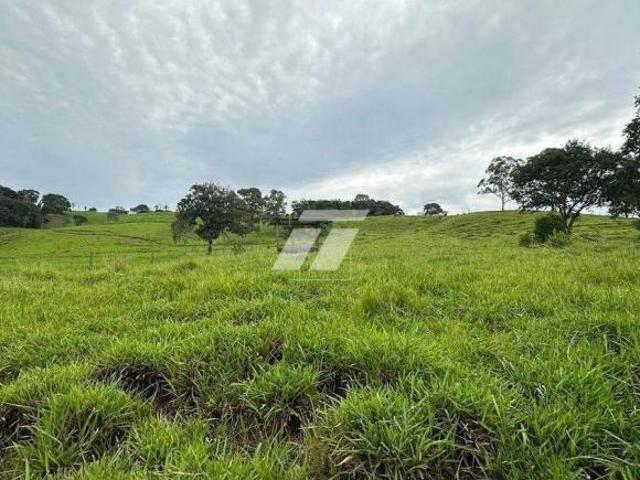 Sítio