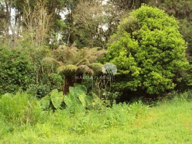 SITIO 30 HECTARES