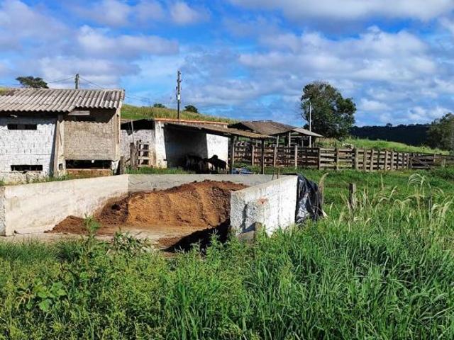 Sitio 31 Alqueires Formado em Pasto para Gado de Leite 2 casas empregado 1 casa escritório Tronco c