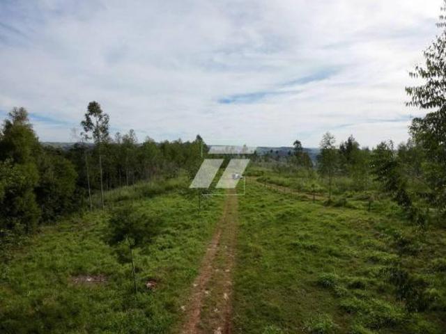 Sítio