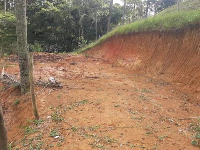 Sítio para venda em Centro, Paraibuna