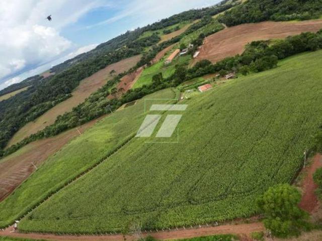Sítio