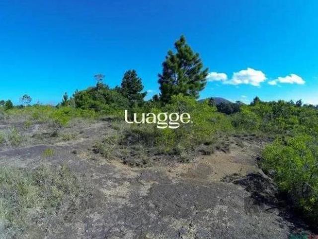 Sítio