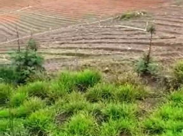 SITIO 3 ALQ. – AGRICULTURA