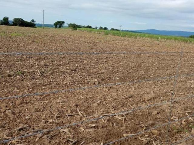 Sitio 3 alqueires em tatui Terra vermelha Valor 1.000,000,00