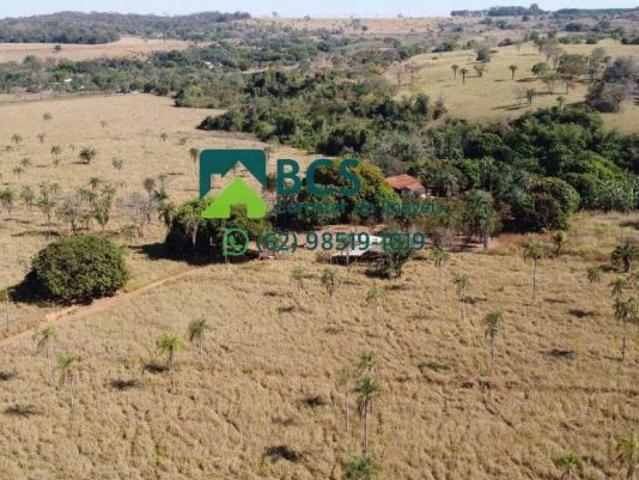 Sítio 3 Alqueires Entre o Município de Goianira e Trindade