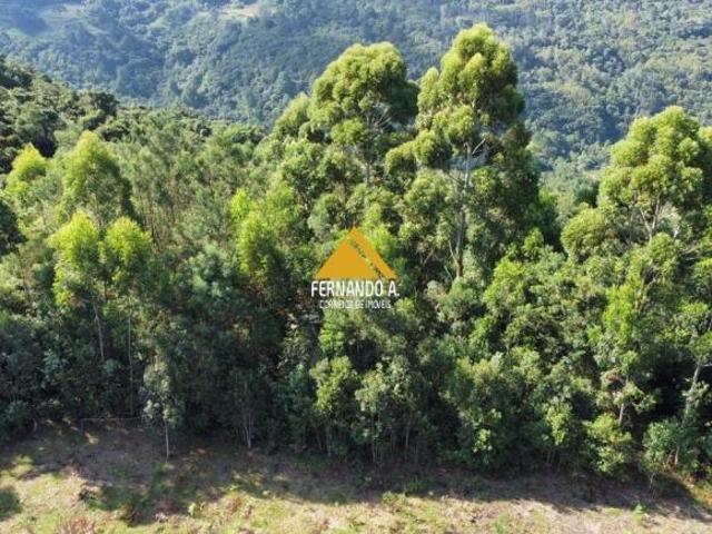 Sítio 3 Hectares na Serra Grande – Vista Panorâmica, Açude e Próximo ao Paradouro das Nuve