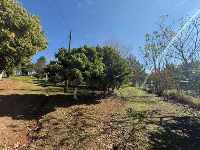 SÍTIO 3,0 HECTARES SANTA CRUZ DA CONCÓRDIA TAQUARA RS