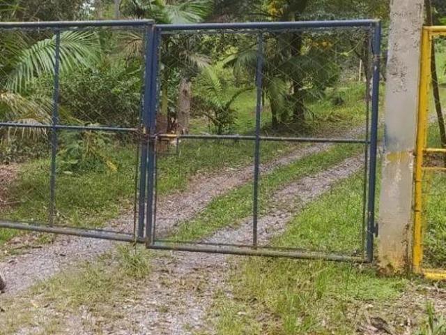 Sitio, 3,5 Alqueires Região Tapiraí Oportunidade, Tapiraí, SP