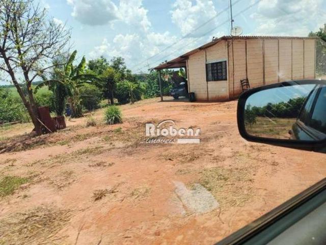 SITIO VALENTIN GENTIL VOTUPORANGA PASTO E SERINGAL PRODUZINDO