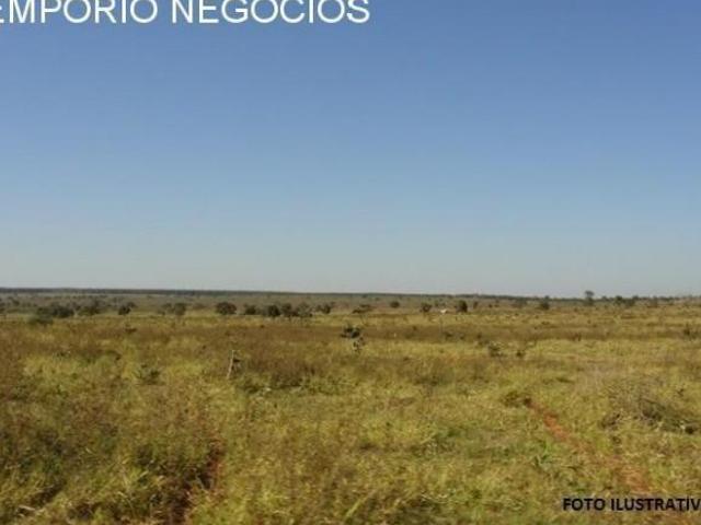 Sítio venda. Empório Negócios venda sítio para pecuária/lavoura na região de Santo Antônio da Alegri