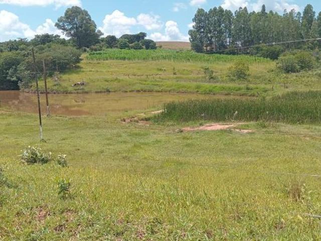 Sítio venda. Empório Negócios vende sítio para pecuária e lavoura na região de Monte Santo de Minas