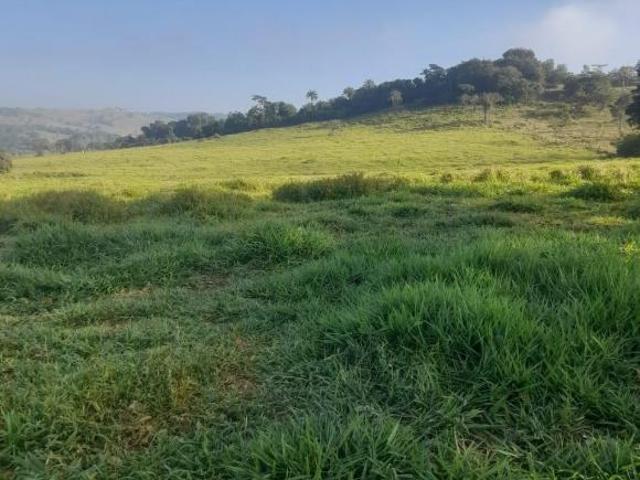 Sítio venda. Empório Negócios vende sítio para pecuária e lavoura