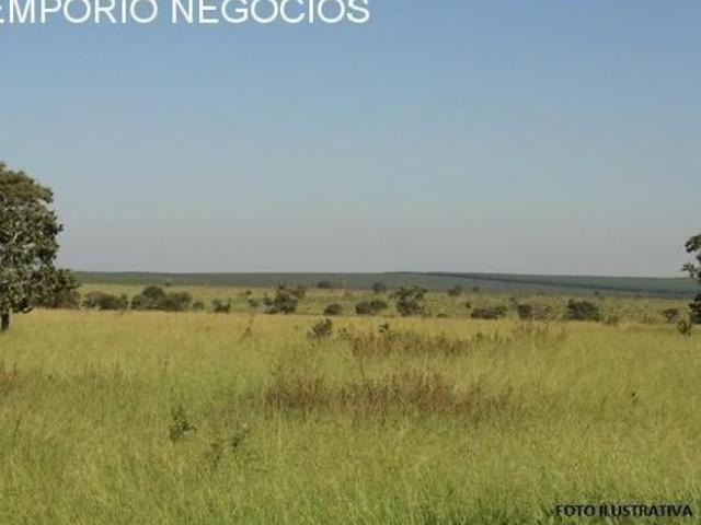 Sítio venda. Empório Negócios vende sítio pecuária na região de Santo Antônio da Alegria SP