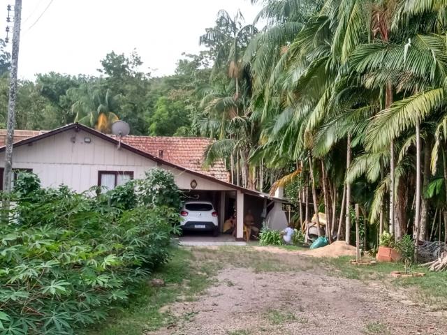 Sítio Venda Ibirama SC Dalbérgia