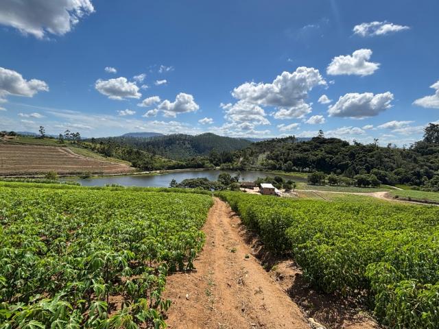Sítio Venda Lontras SC Consulte