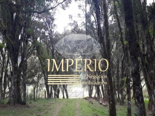 Sítio, Venda, São Francisco de Paula, Contendas