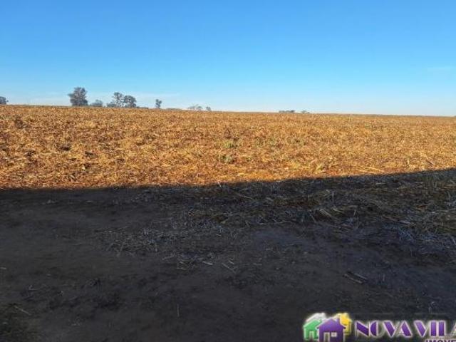 Sítio, vender, Jaguariuna, Plano, com agua