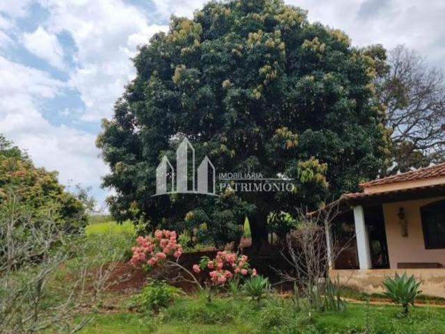 Sitio, Zona Rural, Astolfo Dutra, MG