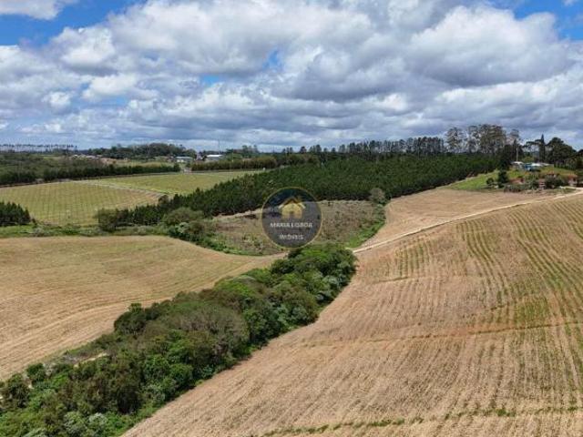 Sítio, Zona Rural, São Miguel Arcanjo R$ 1.85 mi, Cod: SI0003