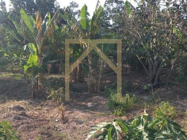 Sitio, Zonal Rural, Guarei, SP