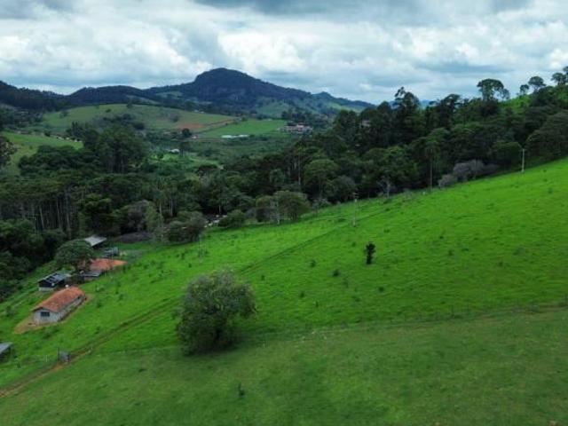 SÍTIO À VENDA MUNHOZ MG COM ESCRITURA 13 ALQUEIRES