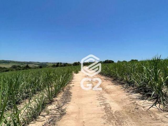 Sitio a venda na cidade de Elias Fausto SP interior de São Paulo Área rural