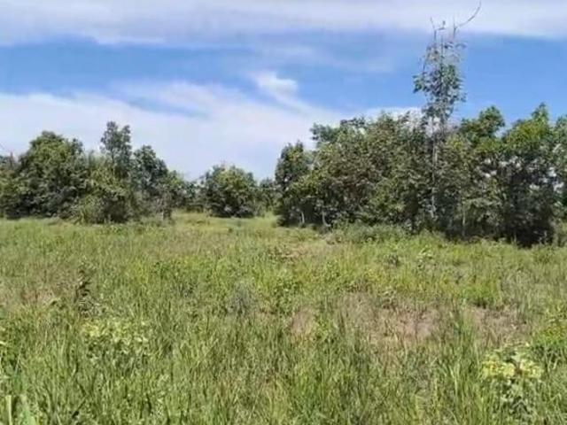 SITIO A VENDA NA REGIÃO DA SERRA DE SÃO VICENTE /PORTO DE FORA. MATO GROSSO