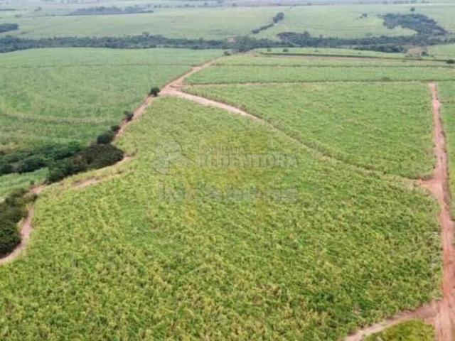 Sítio à Venda No bairro Área Rural de Olímpia
