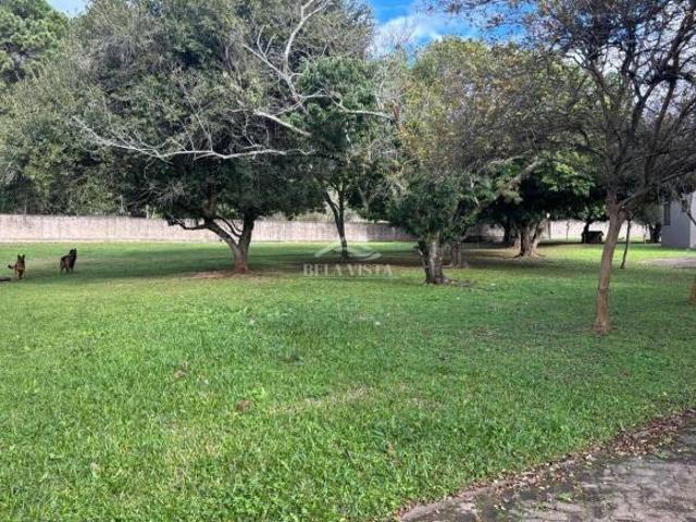 Sítio à venda no bairro Berto Círio Nova Santa Rita/RS
