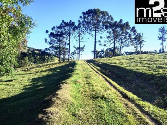 Sítio à venda no bairro Bom Retiro, Cunha SP: 1,80 alqueires, clima frio, nascente, vista da serra