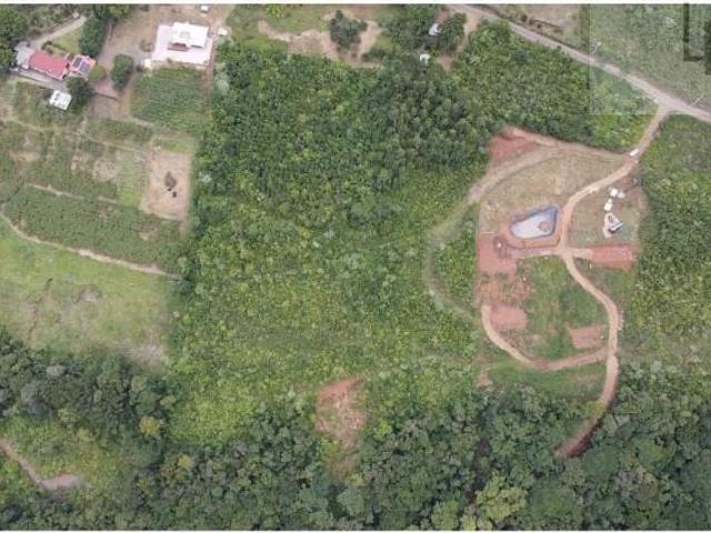 Sítio à venda no bairro Boa Esperança Rolante/RS