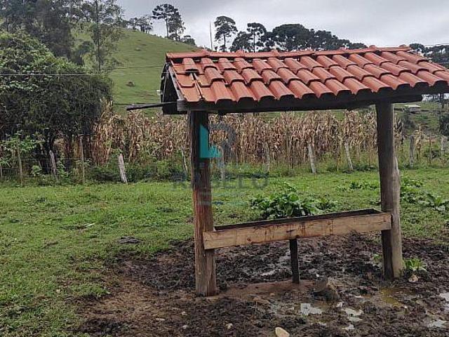 Sítio à venda no bairro Calunga, Silveiras SP