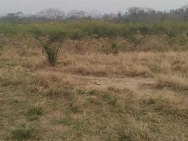 Sítio à venda no bairro Rural em Miranda/MS