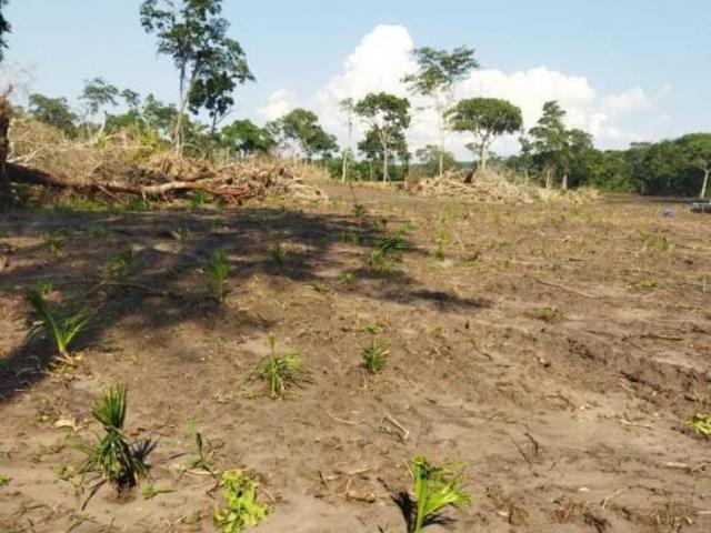 Sítio à venda no bairro Rural em Miranda/MS