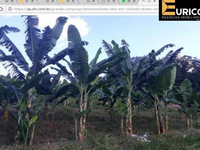 Sítio à venda no Caixa D´água em Vinhedo/SP