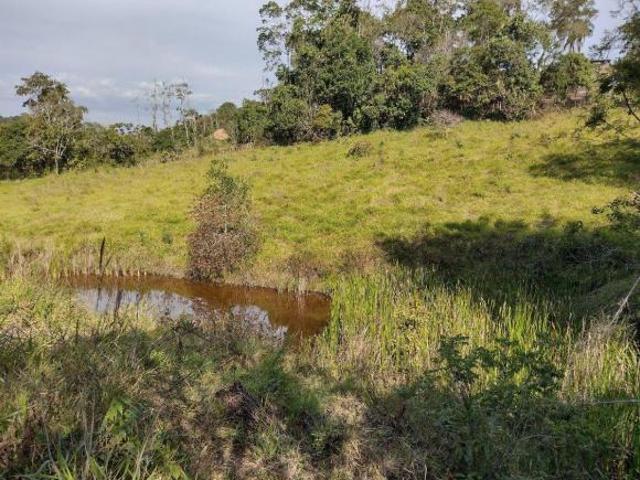 Sítio à Venda no Parque Agrinco – Guararema/SP | 20.000m² com Lago
