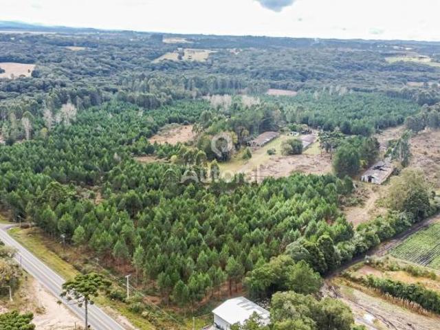 Sítio à venda, a apenas 50 km de Curitiba. Com 44