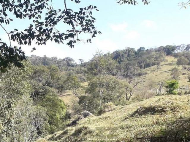 Sítio à Venda Bairro Boa Vereda, Amparo 367m2 3 Quartos