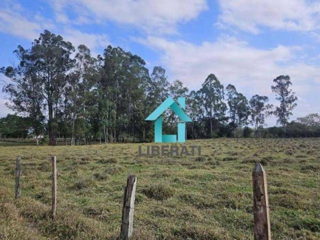Sítio à Venda, Bairro Campo de Boituva, Boituva SP. Plano e Rico em Água.