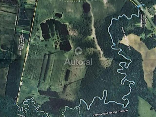 Sítio à venda com 44 Hectares em Tijucas do Sul |