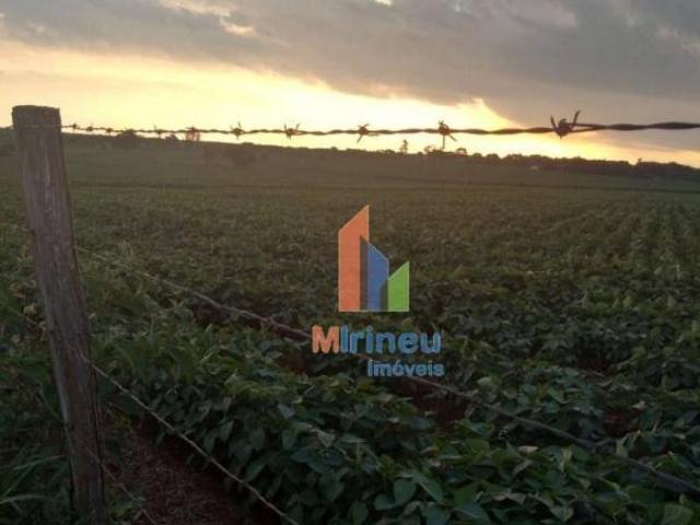 Sítio à venda com 5,93 alqueire 14,45 hectares em Cosmópolis SP