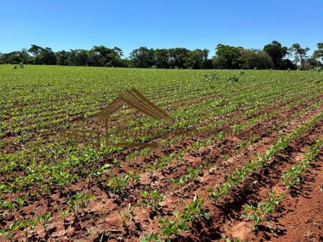 Sitio a venda com 6 alqueires em Tatuí SP