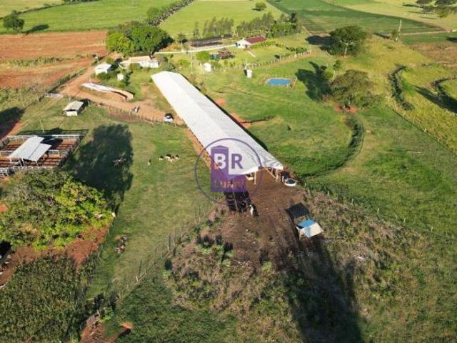 Sitio a venda com 6 hectares em Jaguapita