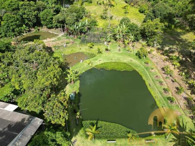 Sítio à Venda com 8.000 m² em Atibaia