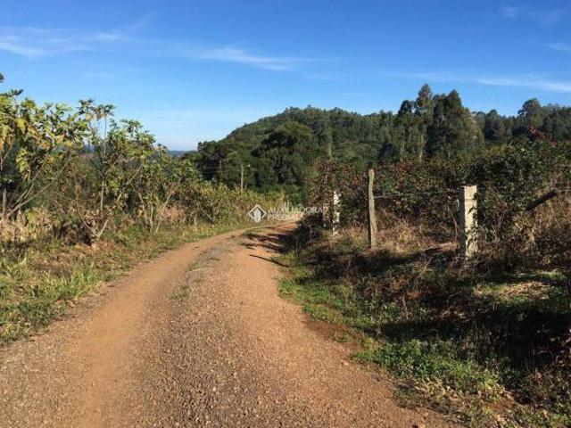 Sitio a venda com 9000m²