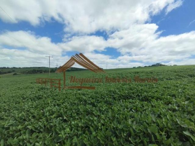 Sitio a venda com 10,8 alqueires na região de Itaí SP