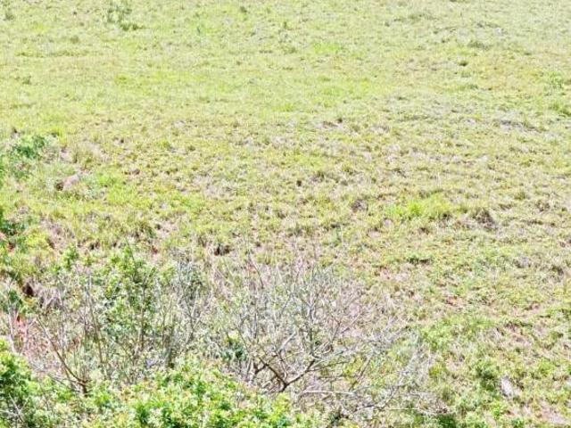 SÍTIO À VENDA COM 10 ALQUEIRES JOANOPOLIS SP
